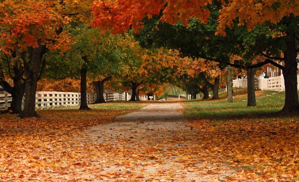 7 Places to Visit For the Best November Fall Foliage | Weather Forecast Now