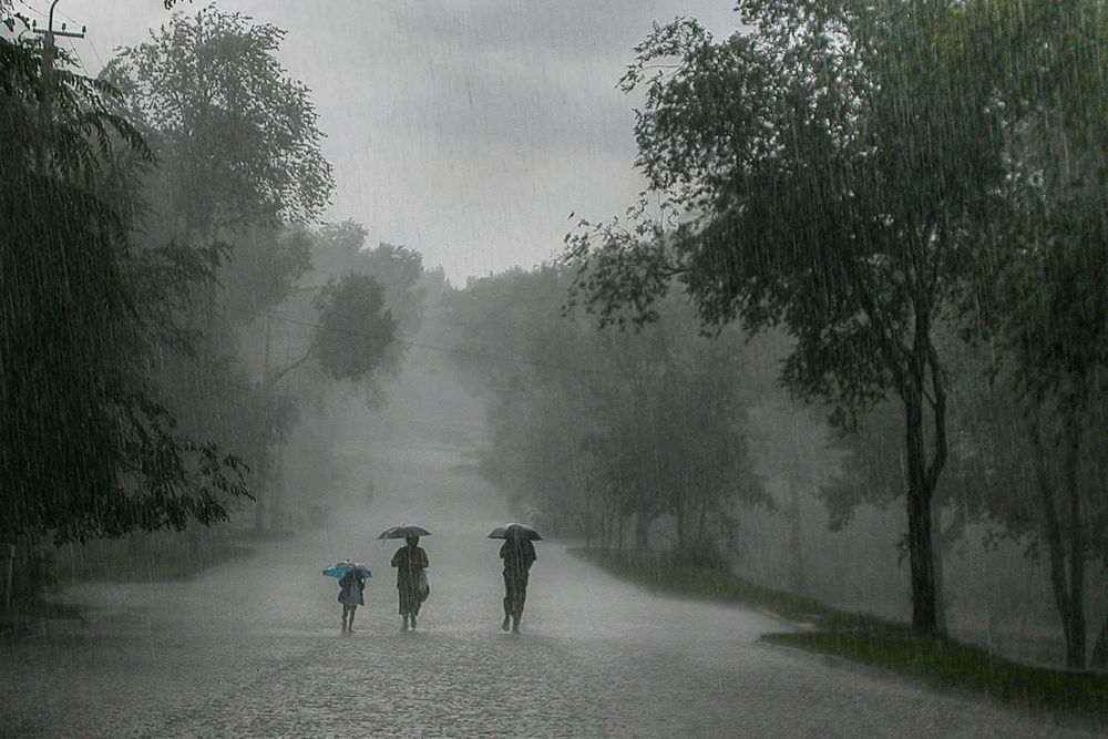 Drenching Rain to Make For a Wet Middle of the Week For Florida ...