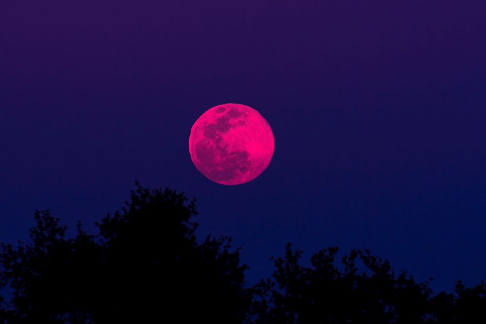 What is a Pink Moon and When to See it in the Night Sky | Weather ...