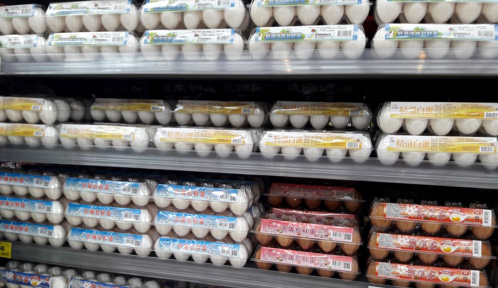 Egg Prices May Raise Over 40% in 2024 Because of Avian Flu | Weather ...
